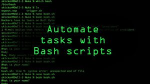 Hướng dẫn sử dụng Linux Bash cho người mới bắt đầu | Học trực tuyến ...
